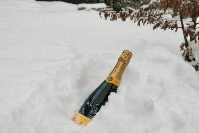 Raw Oysters with Champagne - Weekend at the Cottage
